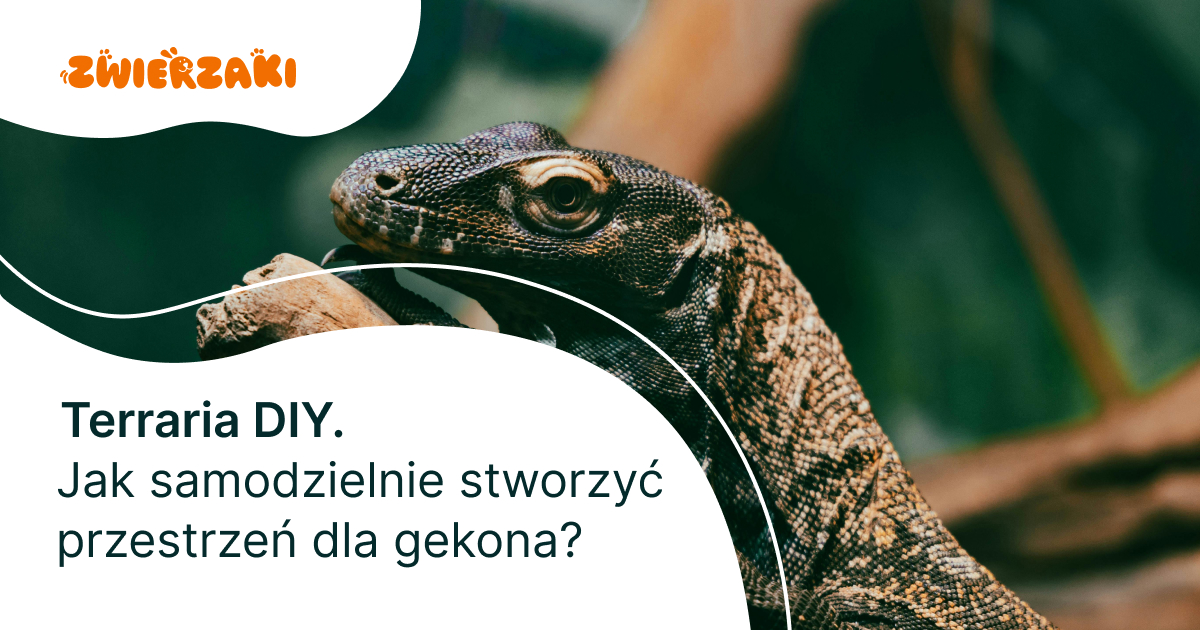 Terraria DIY. Jak samodzielnie stworzyć przestrzeń dla gekona?