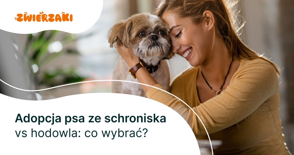 Adopcja psa ze schroniska vs hodowla: co wybrać?