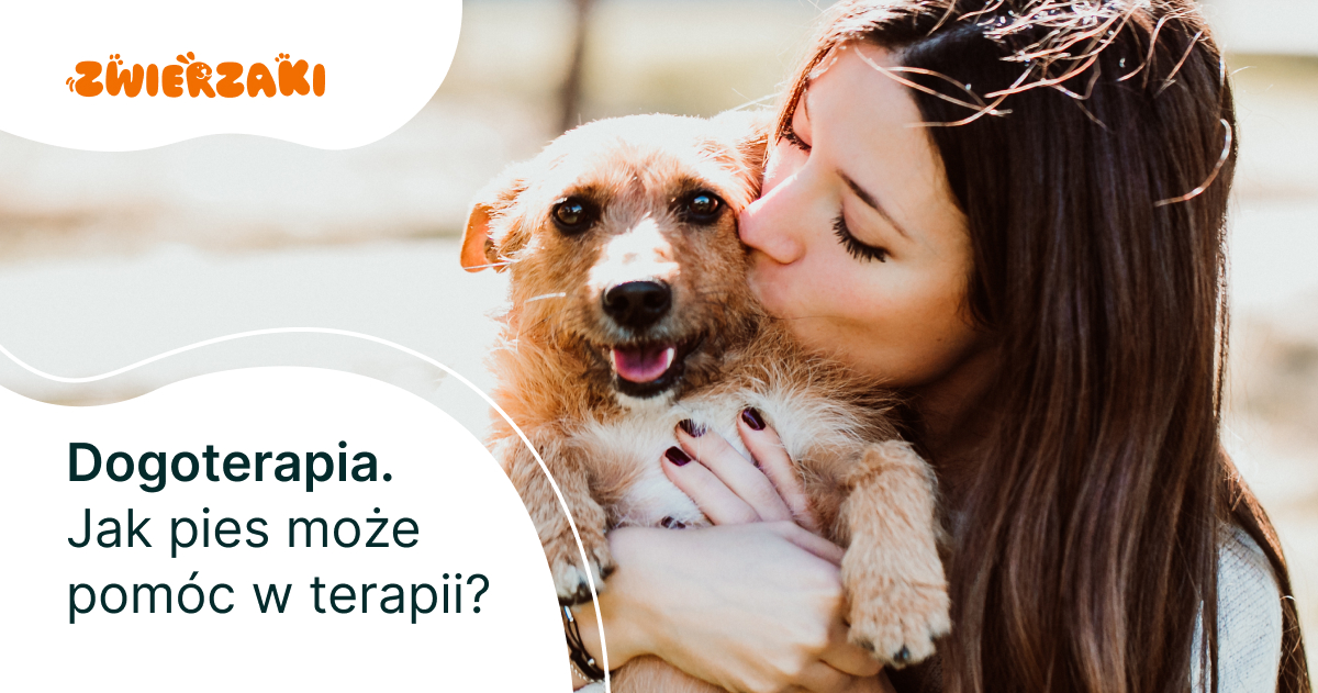 Dogoterapia. Jak pies może pomóc w terapii?